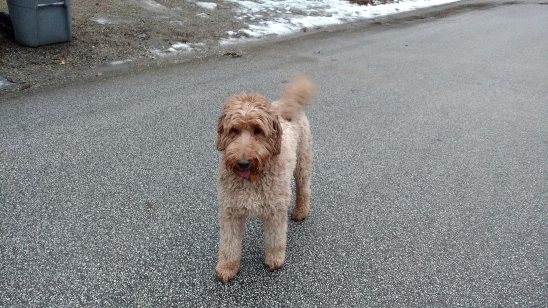 Welded Chain Art Large Metal Signage Letter D Sign | Maker Marketplace