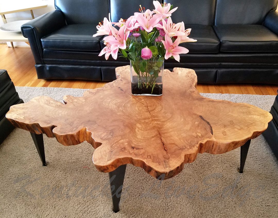 Tree slice coffee table store